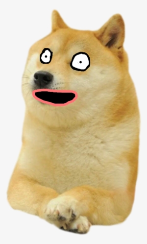 Dsp Is A Dank Meme Master - Wow Such Doge! Wow Such Doge! Wow Such Doge ...