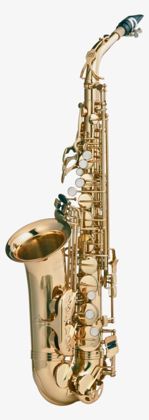 Transparent Background Sax Png - 800x1872 PNG Download - PNGkit