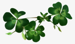 Shamrock Clipart Melonheadz - Melonheadz Shamrock - 511x640 PNG ...