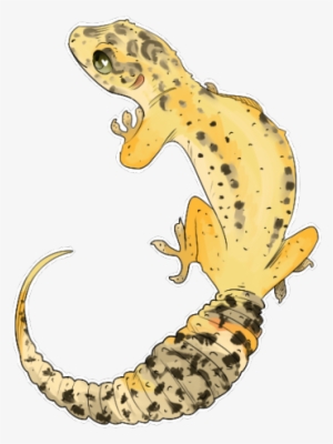 5 - Eastern Newt - 500x479 PNG Download - PNGkit