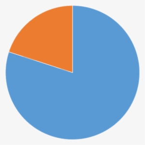 80% Pie Chart Orange - Circle - 1112x713 PNG Download - PNGkit