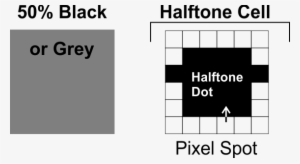 When The Image Is Raster Processed Each Halftone Cell - Knowledge Space ...