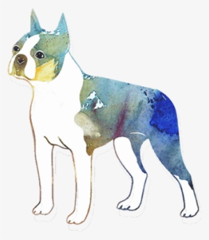 Pl - Dog - 422x405 PNG Download - PNGkit