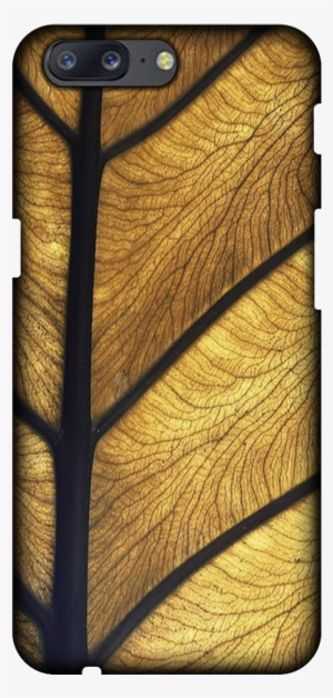 Zoomed In Image Of A Natural Object - 740x1059 PNG Download - PNGkit