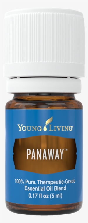 Essential Oil Blog - Young Living Gathering Essential Oil 5 Ml ...