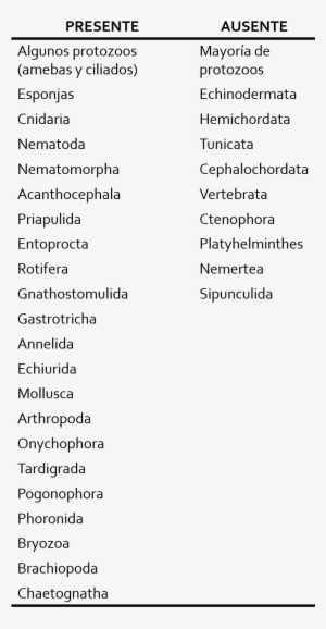 Quitina En Animales - Ebastine Betamethasone Co Aleva - 746x1462 PNG ...