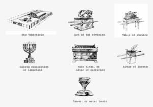 Layout Of The Tabernacle - Tabernacle Dimensions - 1510x917 PNG ...