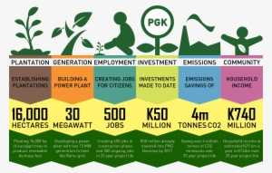 Electrifying Png - Biomass Infographic - 3118x1995 PNG Download - PNGkit