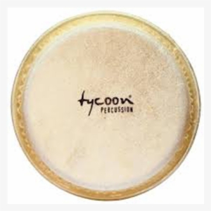 Tycoon Congas Master Series - Circle - 980x1280 PNG Download - PNGkit