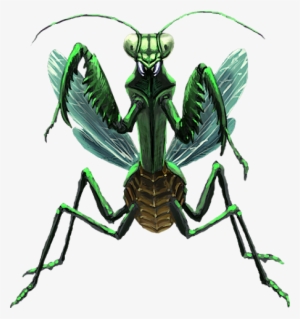 Doom Mantis - Mantis Gothic - 454x483 PNG Download - PNGkit