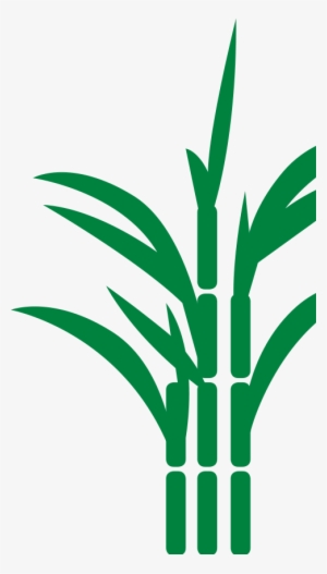 Sugar Cane Icon Png - 487x857 PNG Download - PNGkit
