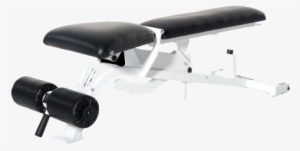 Pro Maxima Multi-adjustable Bench Pl-610 - 600x399 PNG Download - PNGkit