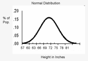 Bell Curve Height - Diagram - 937x659 PNG Download - PNGkit