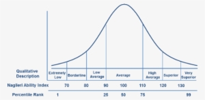 Nnat Scores Sample - Information - 520x258 PNG Download - PNGkit