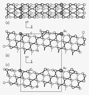 Diagram Showing The Molecular Structures Of Rubp And - 3 Pga Vs G3p ...