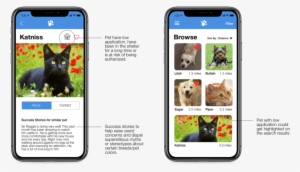 Less Popular Pets - Portable Network Graphics - 1000x566 PNG Download ...