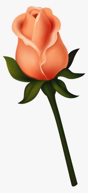 Yellow Rose With Bud Png Clipart - Rose Buds Clip Art - 428x600 PNG ...