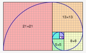 The Golden Ratio In Graphic - Perfect Female Face Template - 1744x2463 ...