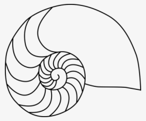 Fibonacci Coloring Pages Coloring Pages
