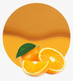 Both Comminuted Fruits And Cloudy Are Perfect Options - Orange ...