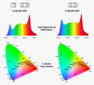 A Proprietary Algorithm Combines The Different Colors - Diagram ...