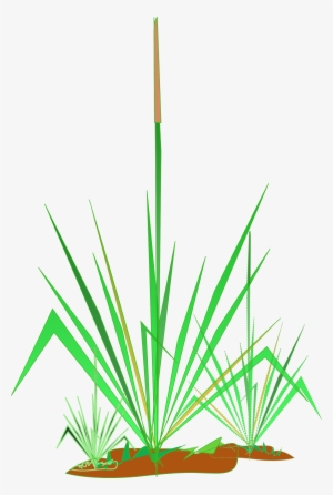 Big Image - Matinhos Clipart - 1614x2400 PNG Download - PNGkit