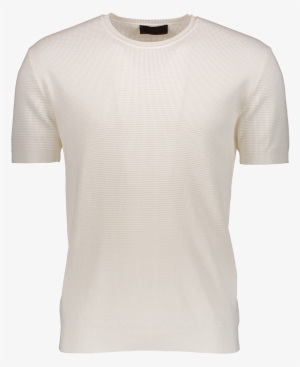 Short Sleeve Cotton Texture Tee White - Sleeve - 1280x1920 PNG Download ...