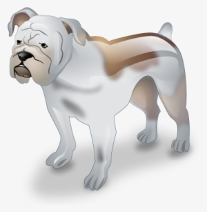 Anti Rabies - 400x400 PNG Download - PNGkit