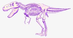 Png Trex Transparent - Lesothosaurus - 500x375 PNG Download - PNGkit