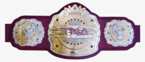 Several Wrestling Legends And Innovators - Chyna Wwe - 320x728 PNG ...