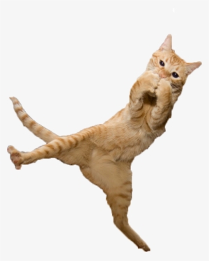 Jumping Cat Png - Cat Jumping Transparent Background - 636x795 PNG ...