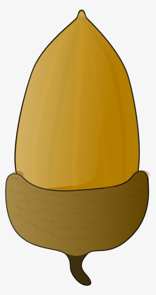 Free Vector Acorn Clip Art - Acorn Clip Art - 312x590 PNG Download - PNGkit