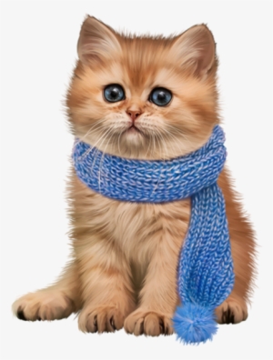 Share This Image - Chaton - 478x600 PNG Download - PNGkit