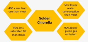 Infographics Showing The Attributes Of Golden Chlorella - Big Data ...