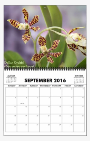 First Up, We Have Our Most Popular Calendar To Date, - 跳跃 者 塔 克 ...