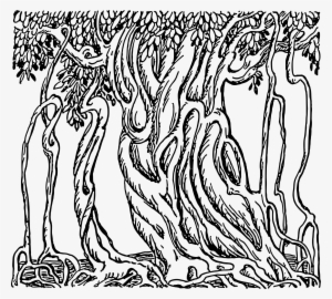 Cad And Bim Object - Trees Line Drawing Png - 571x1000 PNG Download ...