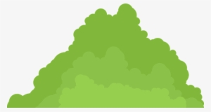 Shrub Transparent Image - Juniper Shrub Png - 720x720 PNG Download - PNGkit