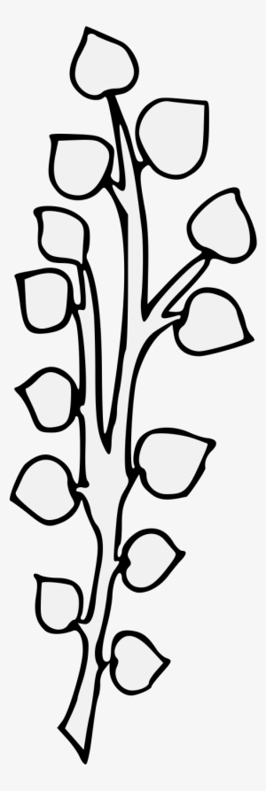 Ash Branch - Line Art - 524x1462 PNG Download - PNGkit