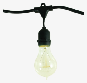 Strings/fixtures - Rope Light - 400x400 PNG Download - PNGkit