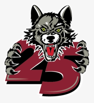 Arenamap - Chicago Wolves Seating Chart - 1024x768 PNG Download - PNGkit