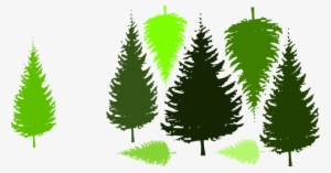 Pine Tree Grouping By Jc Clip Art - Pine Tree Silhouette - 600x314 PNG ...