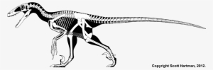 Vector Free Library Terrible Claw Skeletal - Utahraptor Skeletal ...
