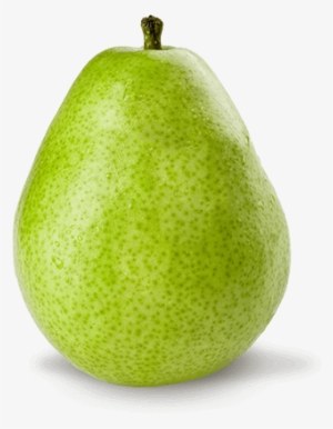 Single Pear Png Transparent Image - Organic D Anjou Pears - 500x500 PNG ...