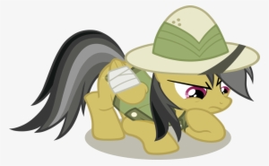 File 141824727907 - Mlp Daring Do Vector - 1024x632 PNG Download - PNGkit