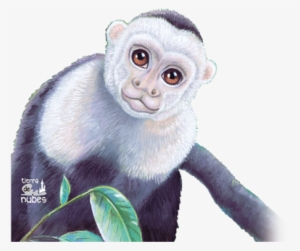 Manki - 385x377 PNG Download - PNGkit