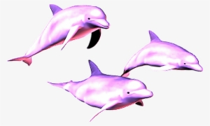 Vaporwave Aesthetic Dolphins - Vaporwave Dolphin - 600x360 PNG Download ...