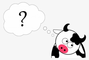 Confused Cow - Cattle - 482x269 PNG Download - PNGkit