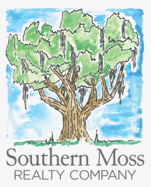 Moss Drawing Watercolor - Southern Moss Realty - 450x559 PNG Download ...