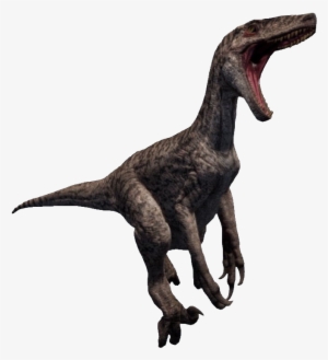 U Raptor - Raptor Png - 714x778 PNG Download - PNGkit