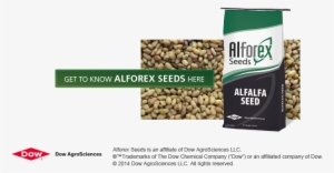 Get To Know Alforex Seeds Image - Alforex Seeds - 723x380 PNG Download ...